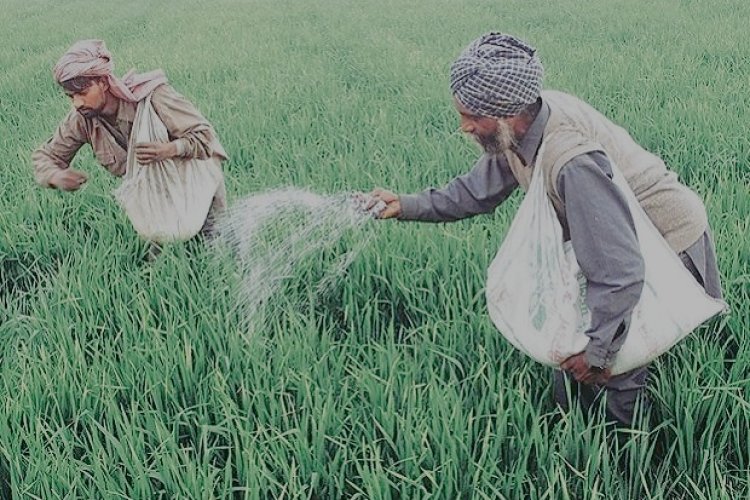 One Nation-One Fertilizer scheme will be launched on 2 October, two ...
