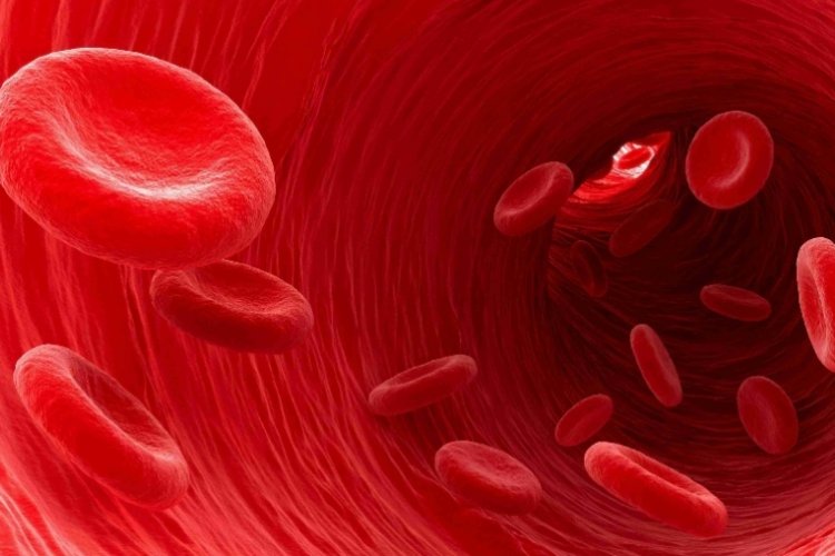 Revolutionary change blood disorders treatment! lab-prepared blood was ...